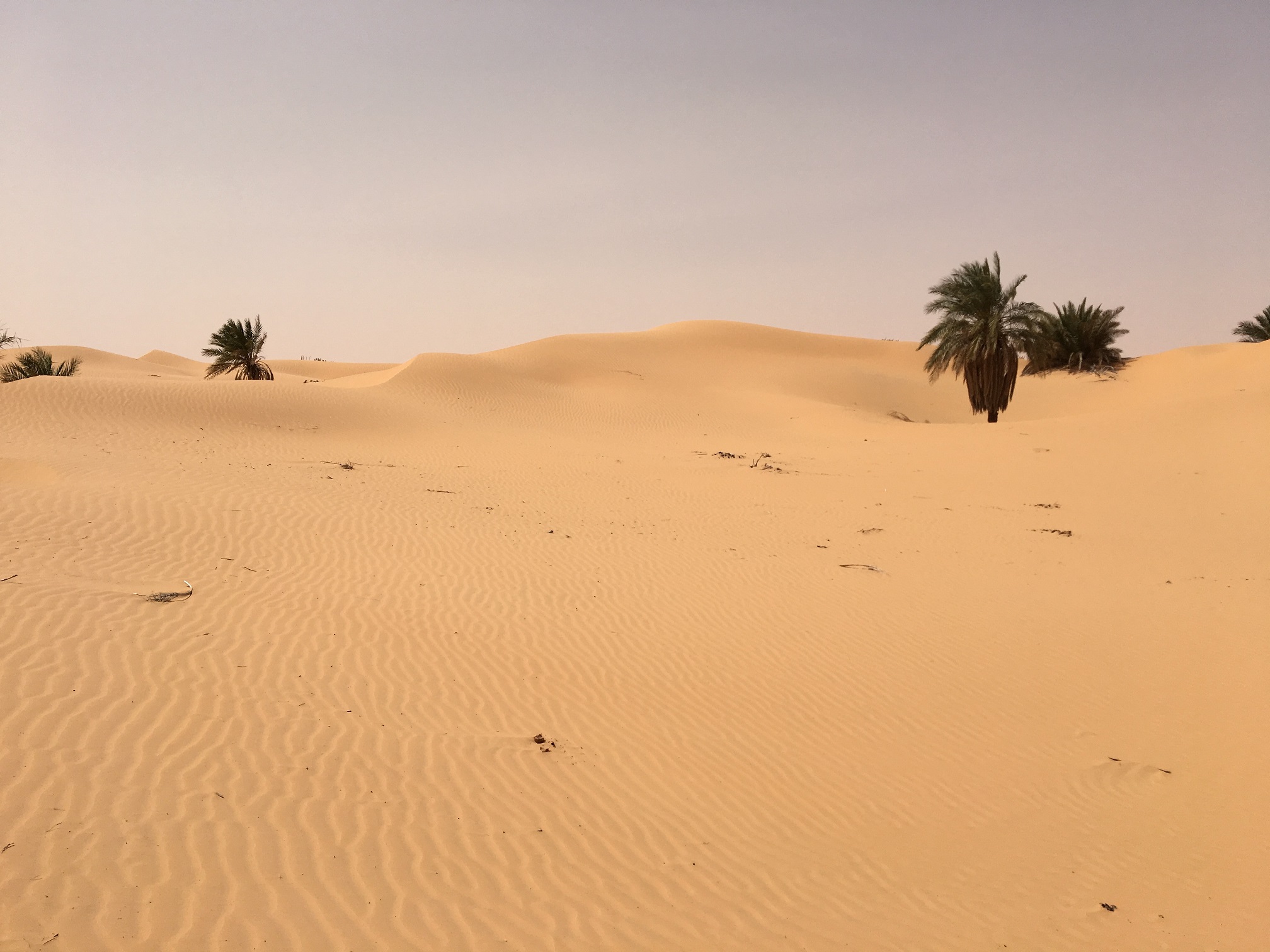 Vulnerabilities: Desertification - ClimateChangeForkClimateChangeFork