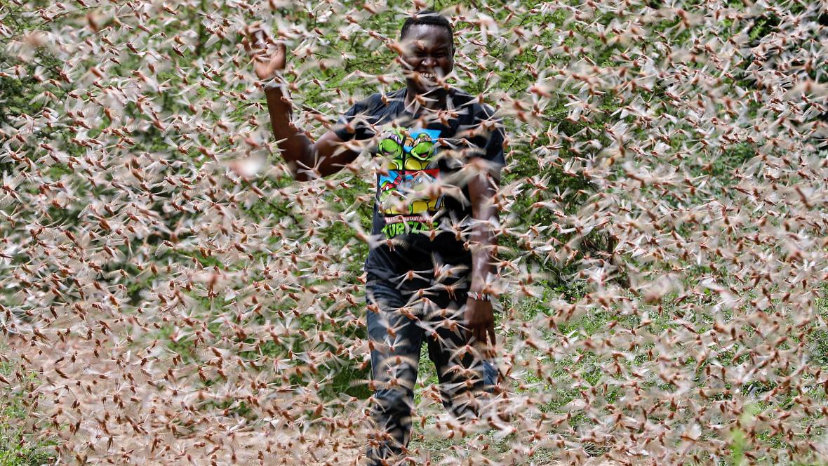 The 10 Plagues, Coronavirus, and Passover ...