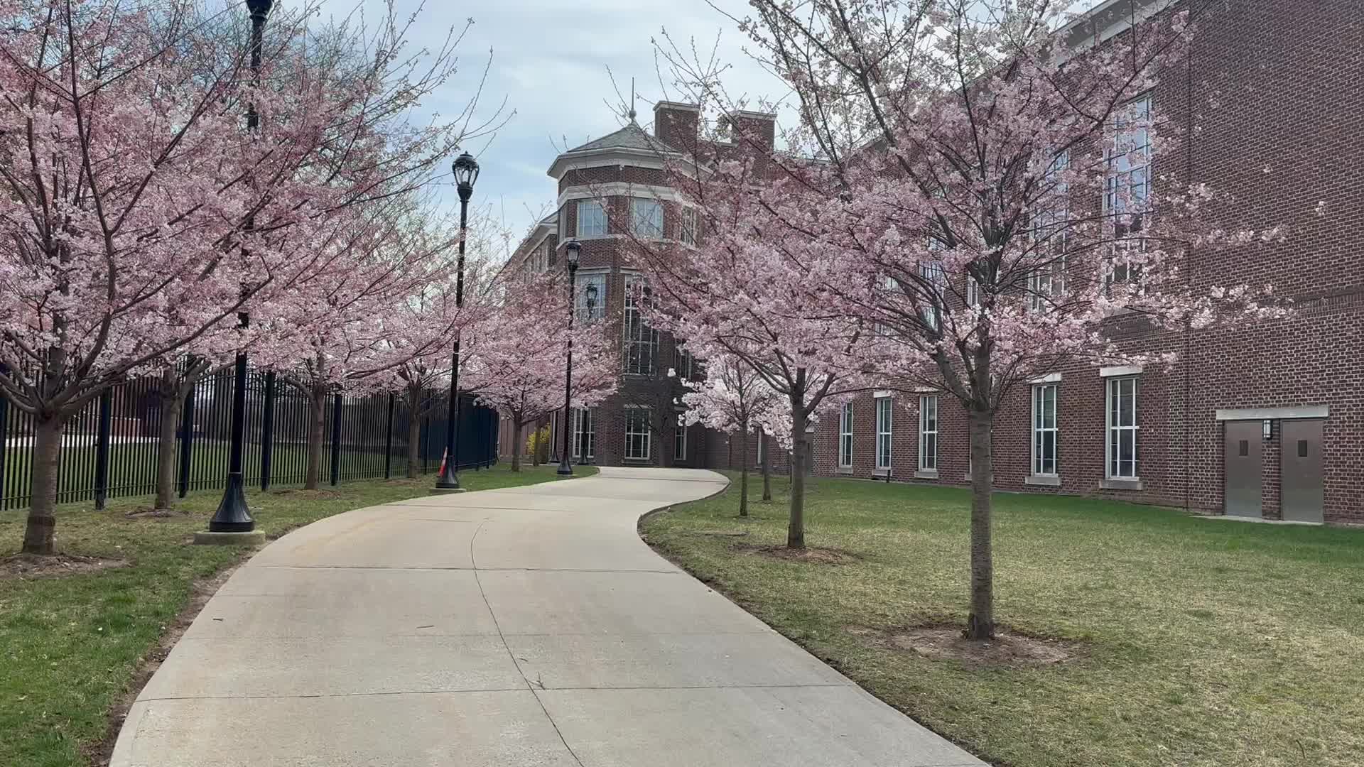 Teaching Students to be Involved in the Energy Transition ...